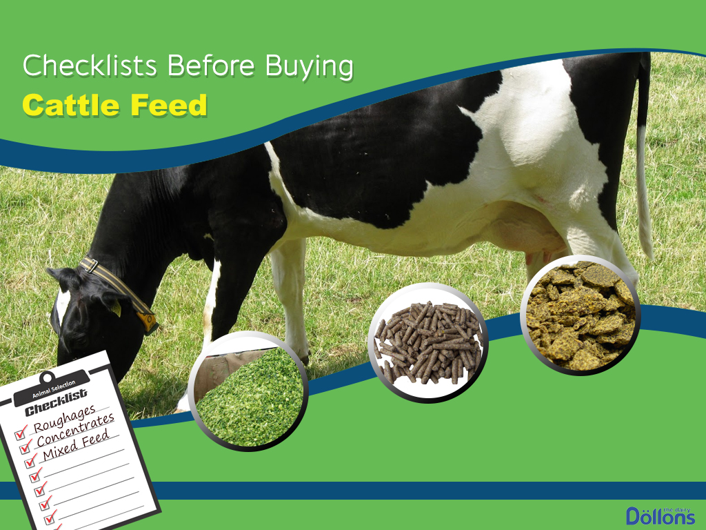 Wait Check These Before You Buy Cattle Feed Dollon s Wait Check These Before You Buy Cattle Feed Dollon s