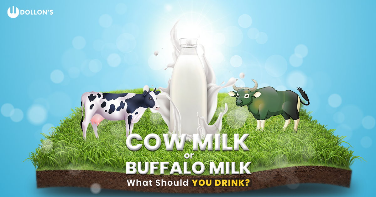Cow Milk Or Buffalo Milk What Is Good For You Cow Milk Or Buffalo Milk What Is Good For You