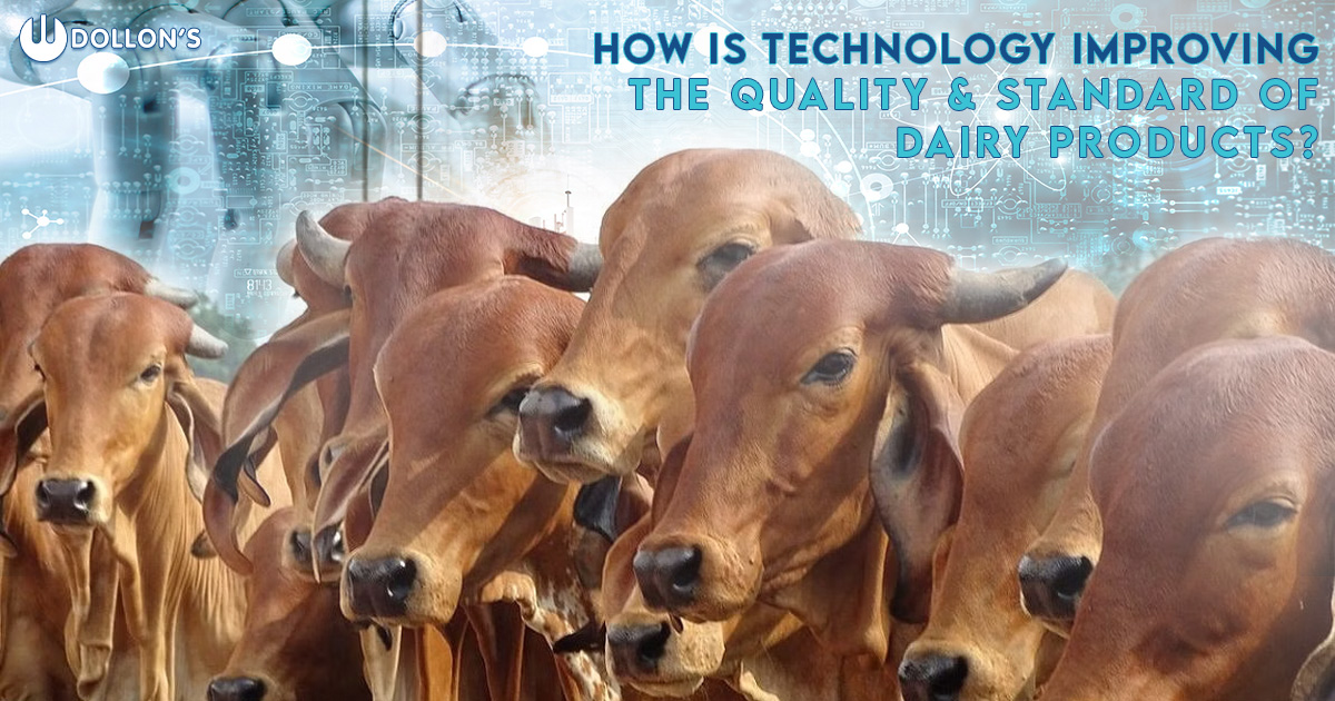 Technology Improving Quality of Dairy Products
